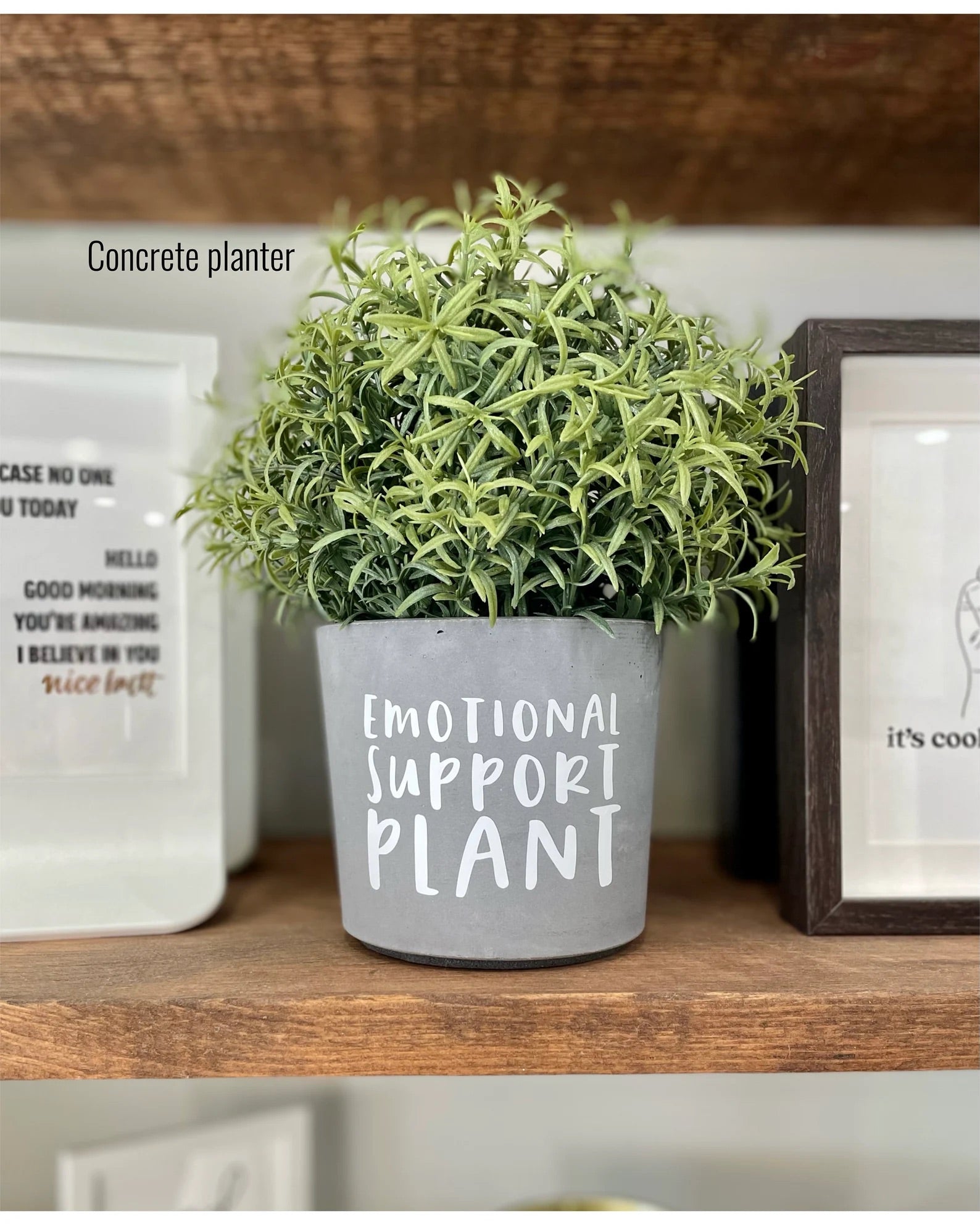 Emotional Support Plant | Planter Pot – Mission Market Co.